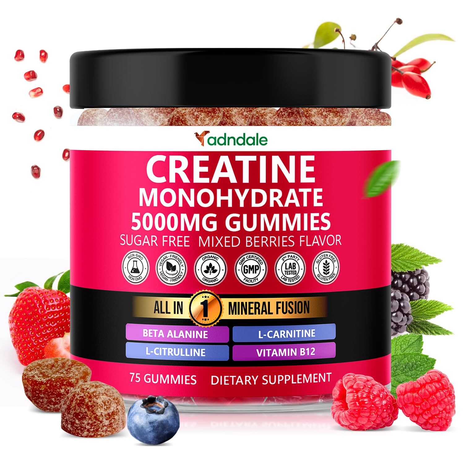 Adndale gomitas creatina monohidratada 5000 mg sin azúcar